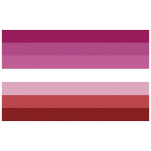 Pride Flags - Flags To Hang or Carry in LGBTQA+ Pride Events| Queer ...